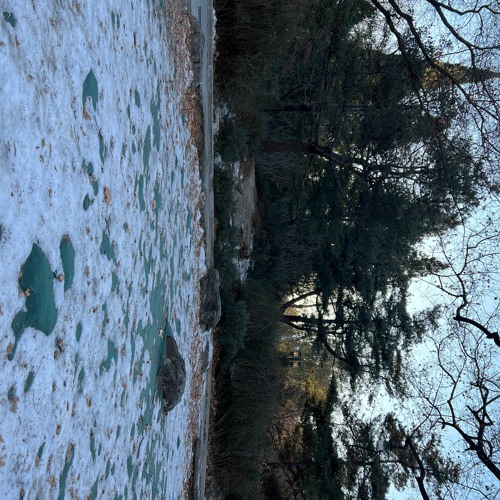 Stream Ditan Park in Beijing, Walking and the Power Distribution Box by Melody Qingmei Li ...