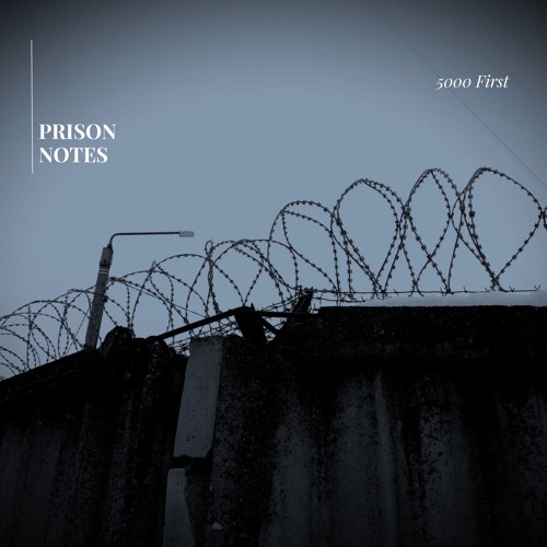Stream Prison Notes (Prod.IOF) by 5000 First | Listen online for free ...