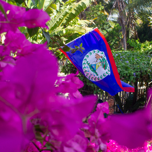 Stream 32 Churches, 29 Schools, 40 Miles, 1 Parish: How Lay Leaders ...