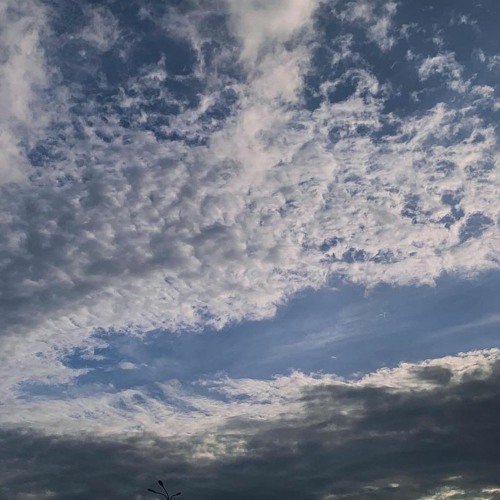 Stream Trái đất ôm mặt trời - Cover Mchau by Chouu | Listen online for ...