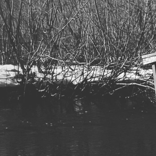 Stream Growing Further Apart by Maybe | Listen online for free on ...