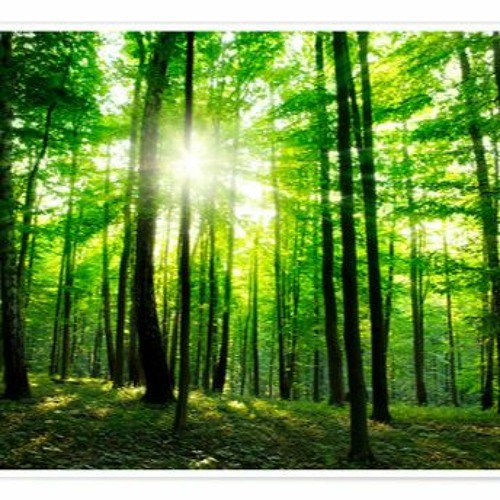 Listen to playlists featuring Simcha Series - Living A Joyous Life ...