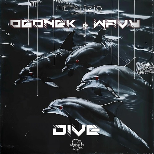 Stream OGONEK and WAVY - DiVE, Audio Jungle (MTFZ47) ~Forthcoming 1st ...