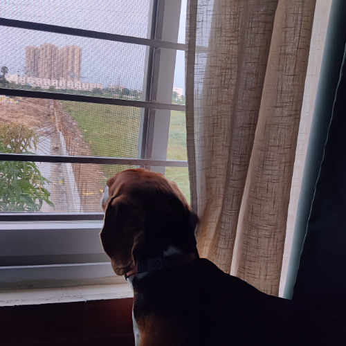 Stream Jaanu by Sahana Jayakumar | Listen online for free on SoundCloud