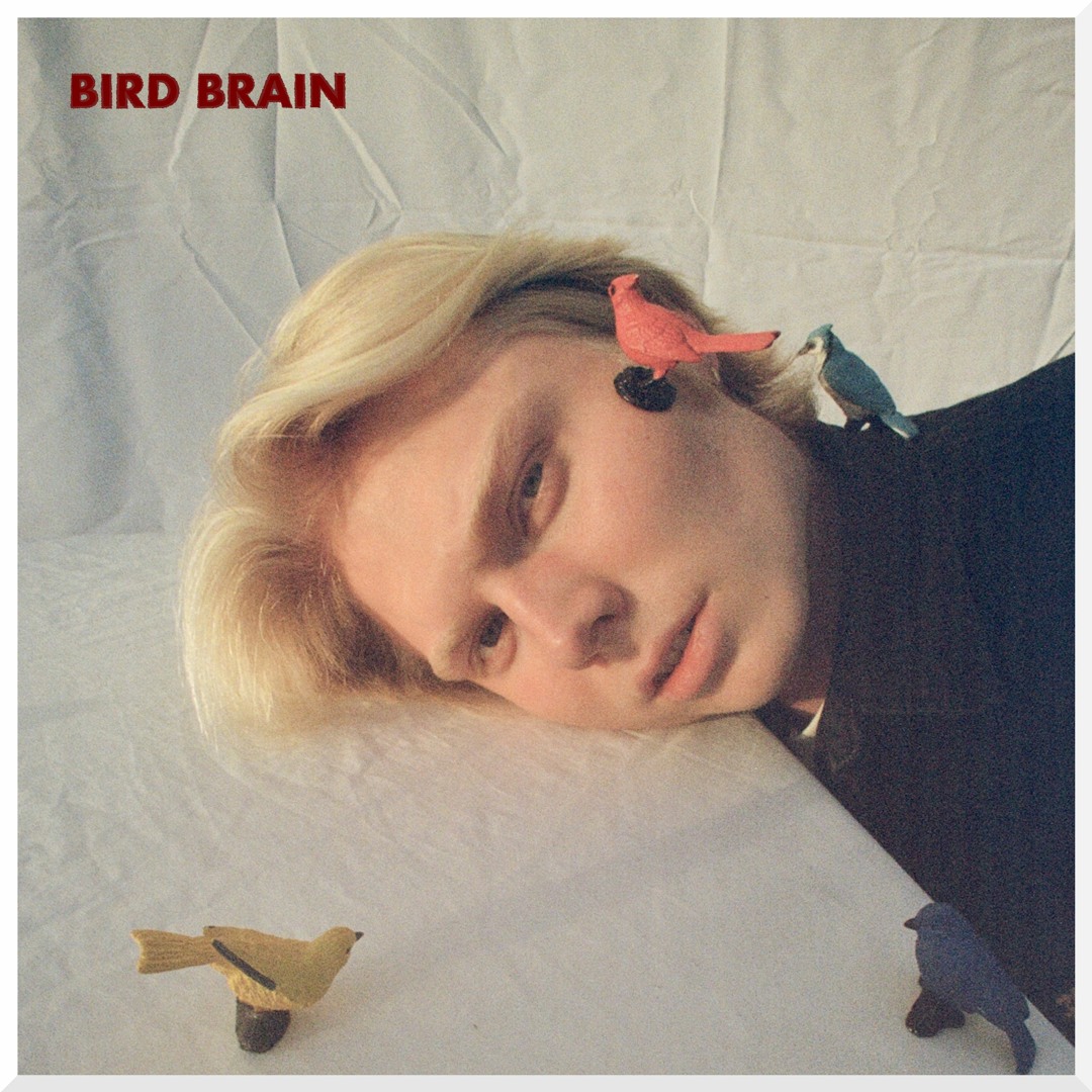 Stream bird brain by Andrew Garden | Listen online for free on SoundCloud