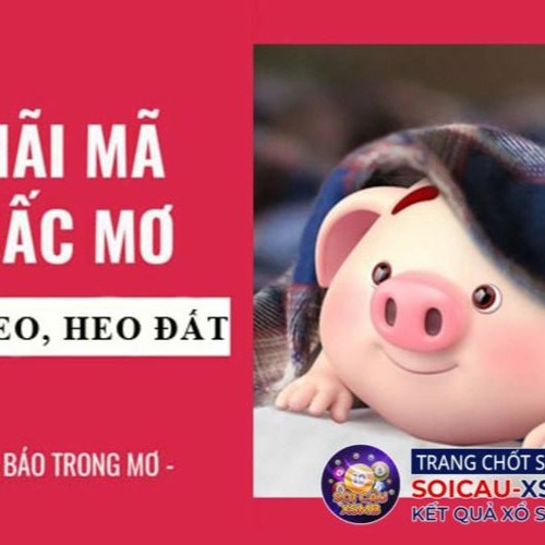 Stream Mơ thấy Lợn là điềm báo diều gì? Đánh số bao nhiêu khi mơ thấy ...