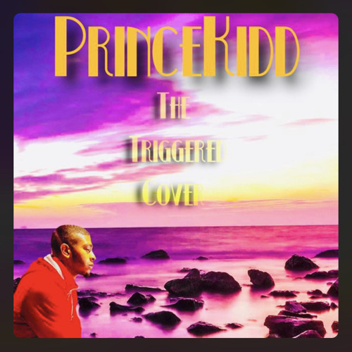 Stream The Triggered Cover by PrinceKidd | Listen online for free on ...