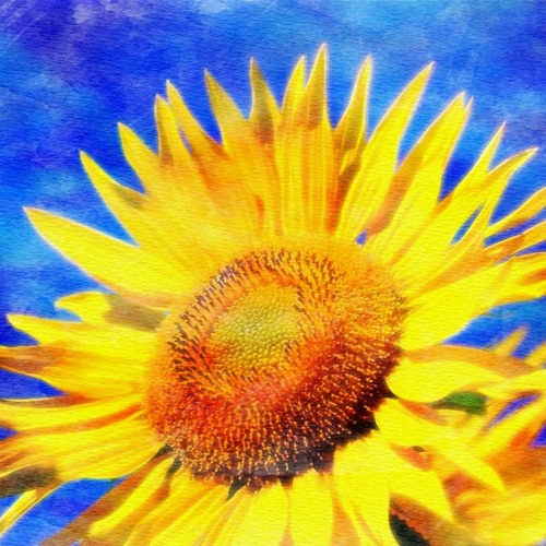 Stream Sunflower - Tyler, The Creator Type Beat by Polishy | Listen ...