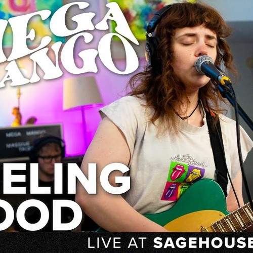 Stream Mega Mango - Feeling Good (ROCK COVER) Live At Sagehouse ...