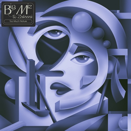 Stream Big Miz, Hayley Zalassi - Too Much Nature by Shall Not Fade ...