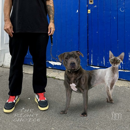 Stream The W Label | Listen to W026 playlist online for free on SoundCloud