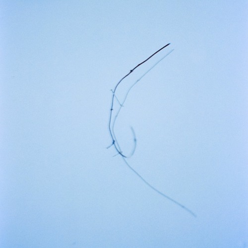 Stream fan and a water glass tinkling to sleep by Kristen Brownfield ...
