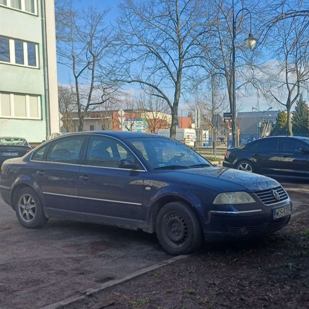 Stream Alex K - Instant Momentum (TikTok edit) by #certifiednigglet ...