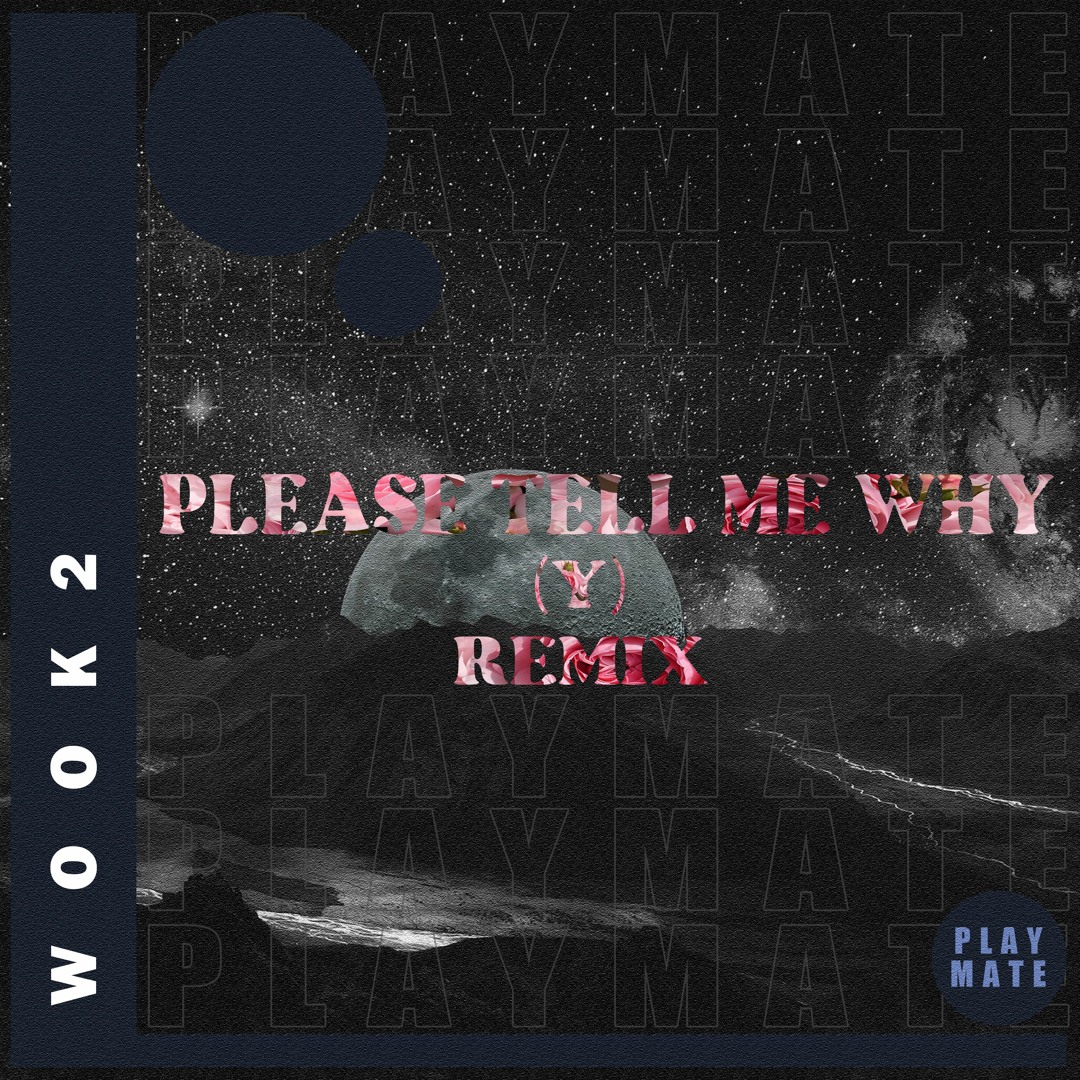 Stream Please Tell Me Why (Y) [WOOK2 Remix] by PLAYMATE | Listen online ...