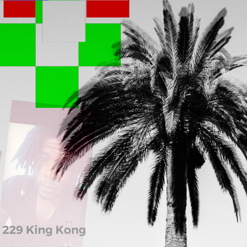 229 King Kong | Instagram | Linktree