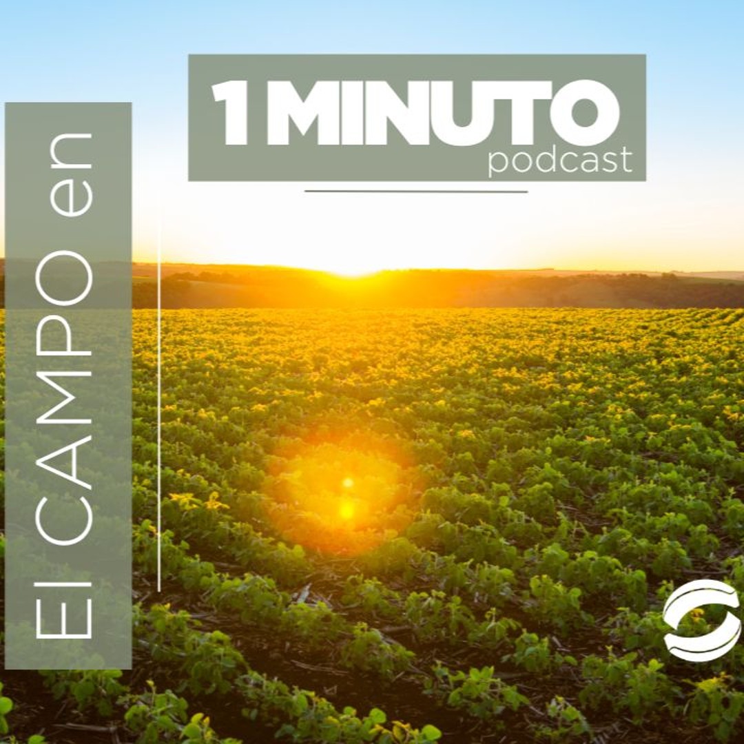 Stream episode Reducción de retenciones permitirán 7 mi ton adicionales ...