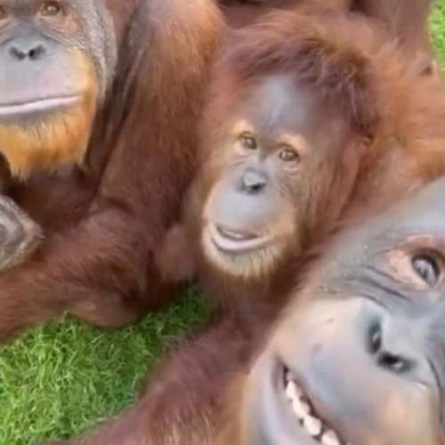 Stream duulic - kj flow by yunt | Listen online for free on SoundCloud