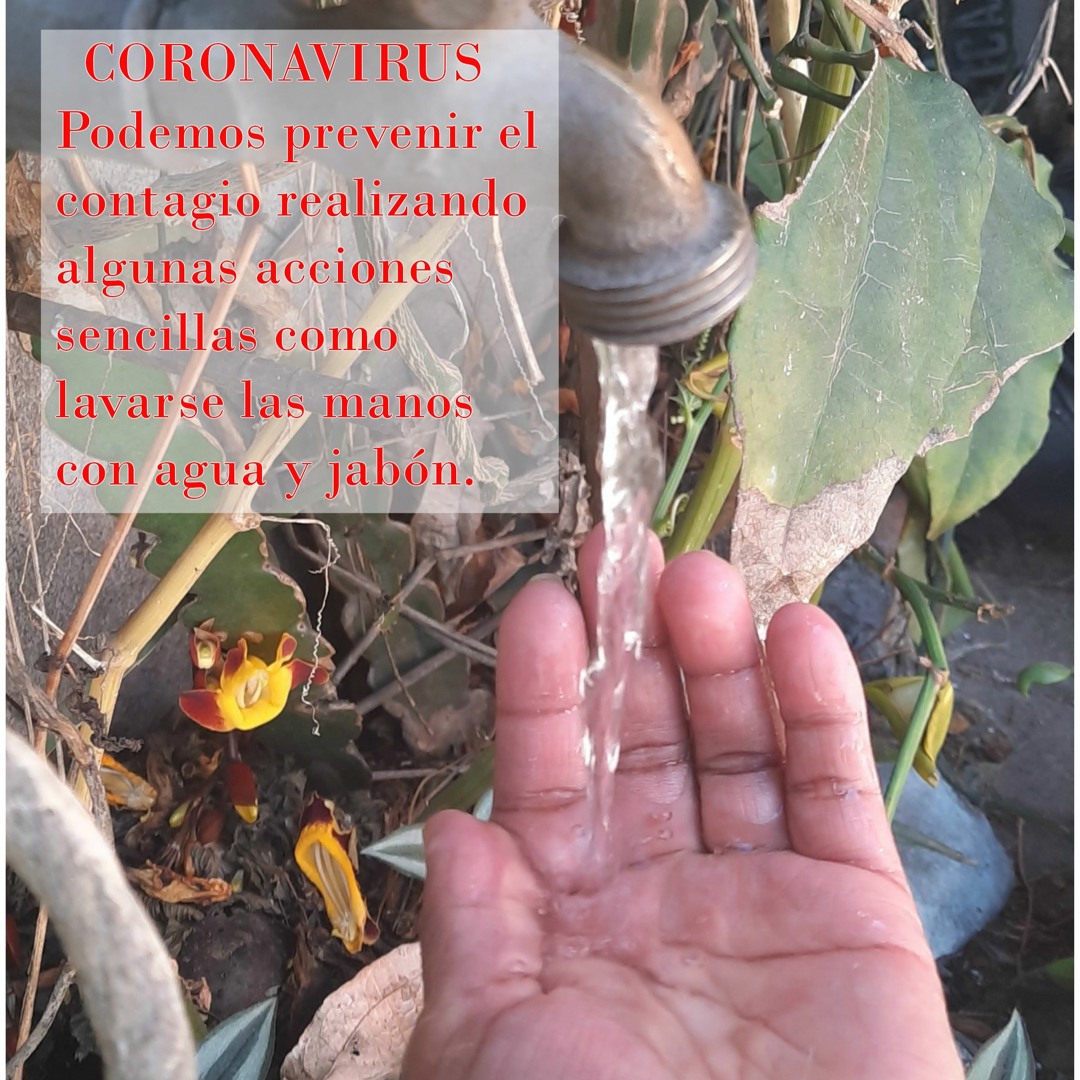 Stream CORONAVIRUS Idioma Akateko, Academia de Lenguas Mayas de ...