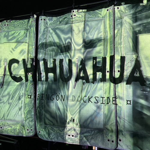 Stream Chihuahua Club September 2023 by Justin Sorrell | Listen online ...