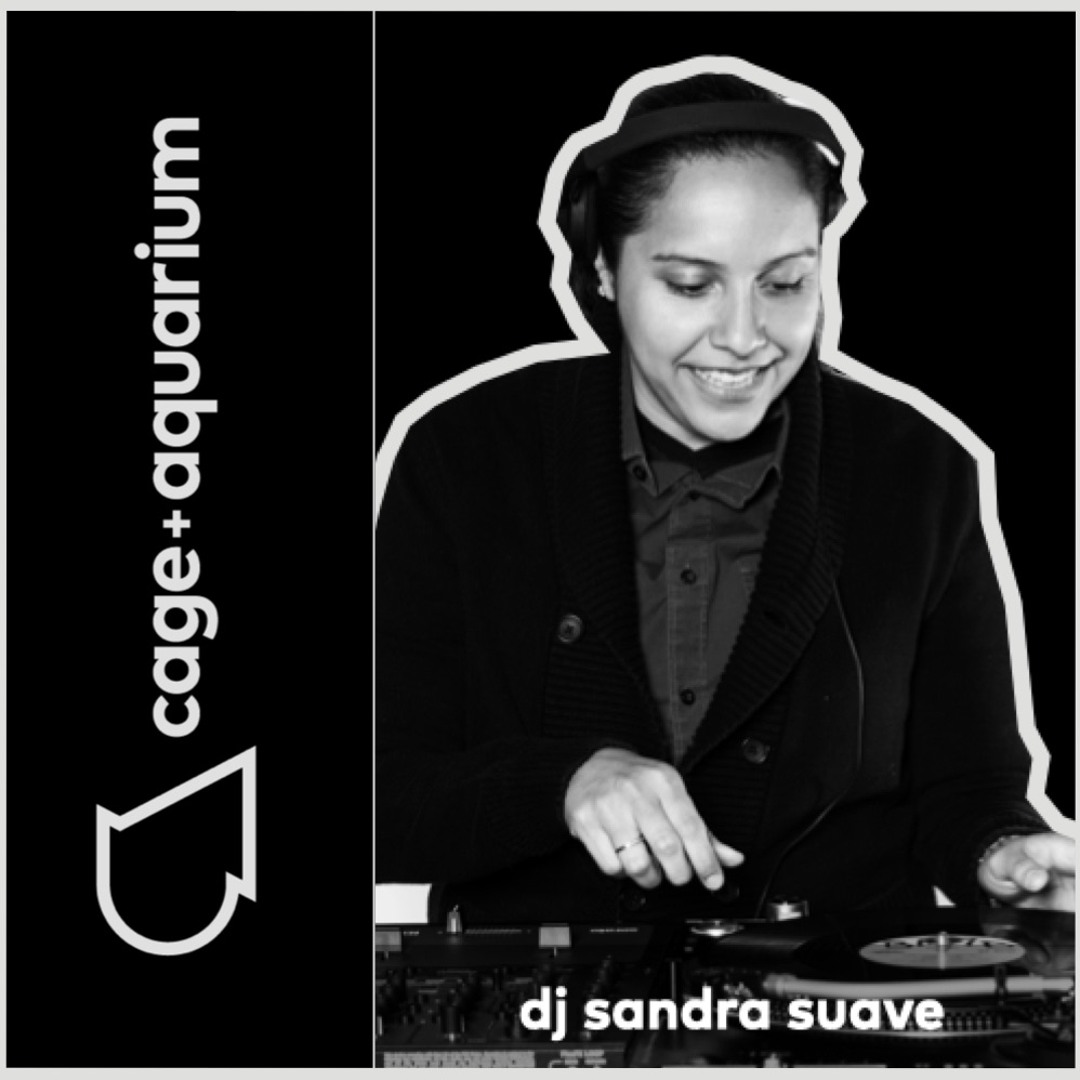 Stream DJ Sandra Suave | Sandra - C+A Foundations Mix by Cage ...