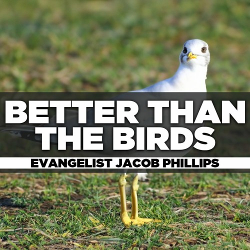 Stream Evangelist Jacob Phillips - 2023.06.04 SUN AM PREACHING - Better ...