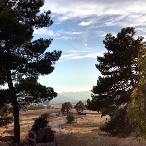 Stream Goodbye by Bruce Frausto | Listen online for free on SoundCloud