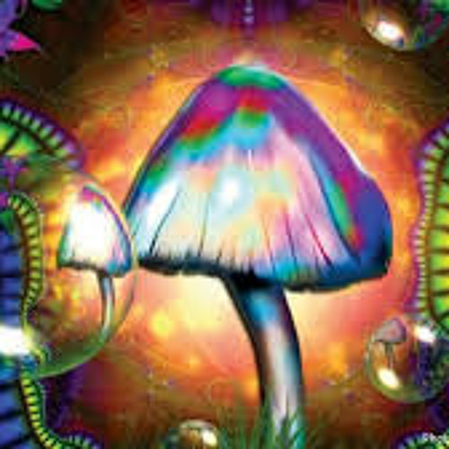 Stream PSY Trance Vol 1 by Lee Coyle | Listen online for free on SoundCloud