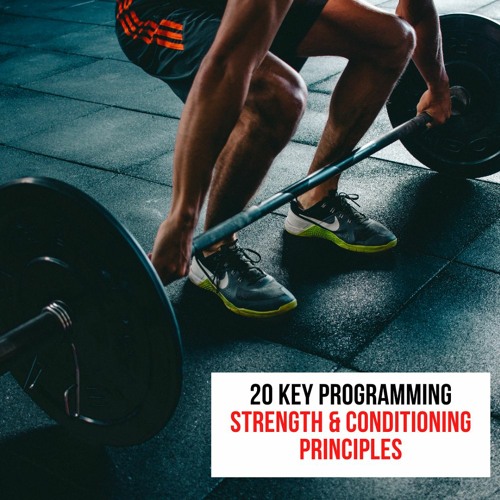 Stream episode #59 - My Top Programming Principles by PLPlivechats ...