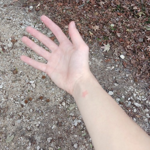 Stream TrollingLo$er So need a cute girl (chris chan and negative xp ...