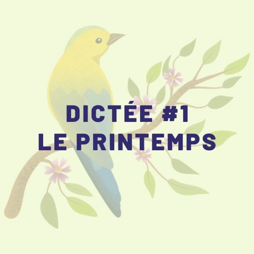 Stream Dictée 1 : Le printemps by French Coffee Break | Listen online ...