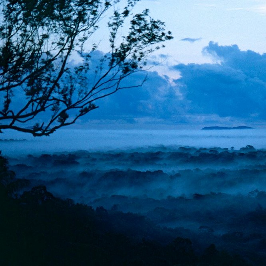 Stream episode Backrooms - Level 16 (Part 1) by The Soundrooms podcast ...