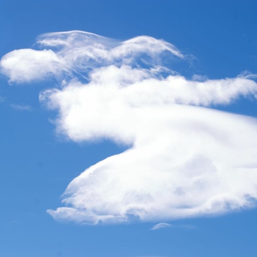 Stream "Auf Erden" von Ulla Hahn 1946 by Max Michael Rohland | Listen ...