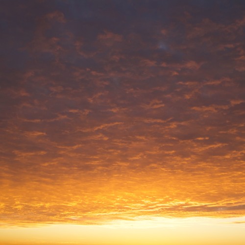 Stream Technology Disruptors: Cloud Based Education (podcast) by Justin ...