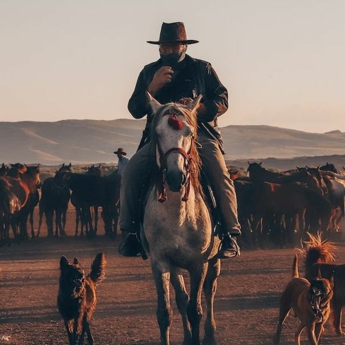 Stream Country Style (Trap Beat) by Taran | Listen online for free on ...