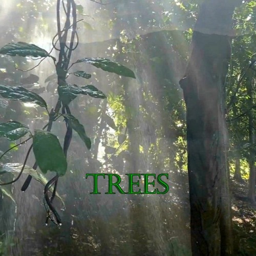 Stream Trees by Bob Bentley | Listen online for free on SoundCloud