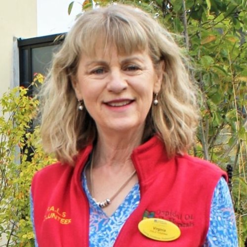 Stream PALS Volunteer Virginia O'Dowd - The best thing about PALS by UL ...