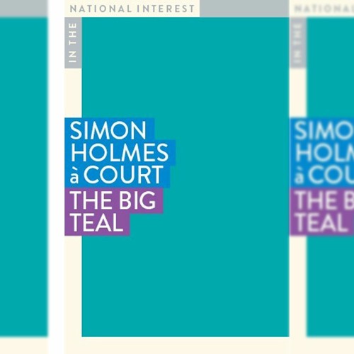 Stream episode In Conversation With Simon Holmes à Court by Experience ...