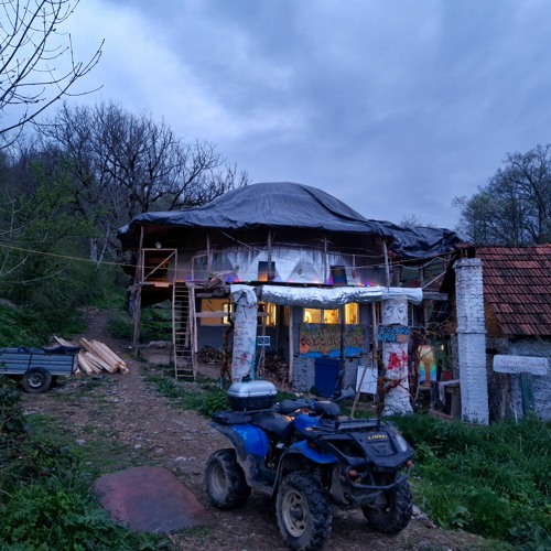 Stream Testimonial despre reprogramari by Razvan Filip | Listen online ...