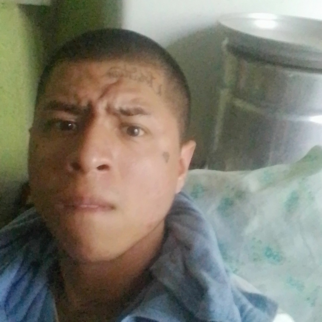 Stream El Makabelico La Encomienda (Audio Oficial) Del Récords 2023.m4a ...