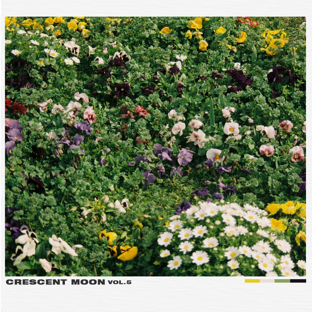 Stream Crescent Moon Vol.5 | Spring 2024 Mix by Chill Satellite ...
