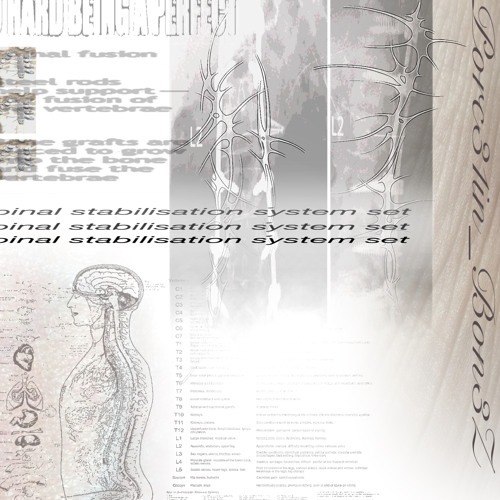 Stream episode spinal stabilisation system set //1// by porc3lainbon3z ...