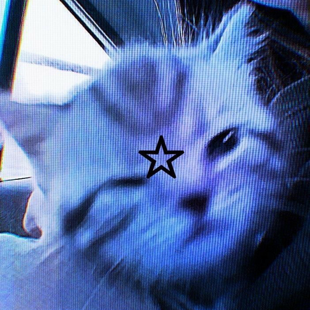 Stream lumi athena-NALGOTICA(full song)($light $lowed) by ♱ 𝒞𝒽𝓍𝓇𝓇𝒾 𝐵𝓁ᥫ ...