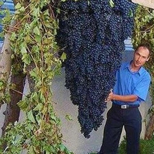 Stream FFXIV Dawntrail - A Risky Bet (M4S Phase 2 Theme) by Noab ...