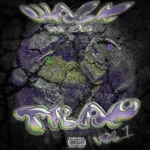 Stream WOKKANNY (@wokkmoneycountry) | Listen to WALK IN DA TRAP Vol.1 ...