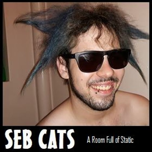 Stream Seb Cats | Listen to A Room Full of Static (Demo Reel) playlist ...