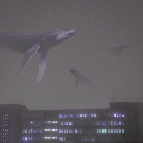 Stream Melancholy by HooMay | Listen online for free on SoundCloud