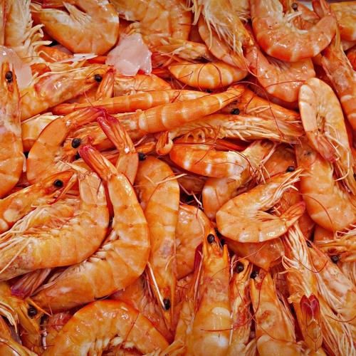 Stream DFO Frozen at Sea Spot Prawns by Justin Waddell Broadcast ...