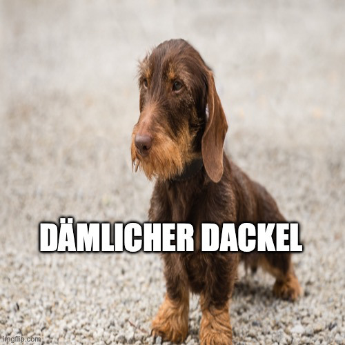 Stream lalalala yoi yoi yoi yoi trap by mvvvx | Listen online for free on SoundCloud