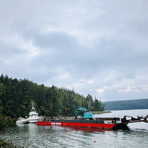Stream Här byggs stenrev för att hjälpa fiskarna i Östersjön by ...