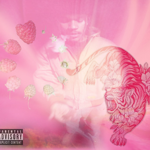 Stream YXNG MXCCA | Listen to IDGAF playlist online for free on SoundCloud